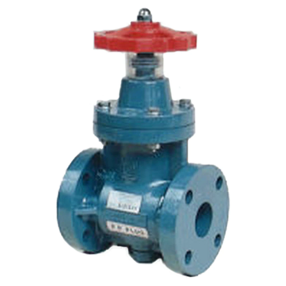 Asahi® Gate Valves | U.S. Plastic Corp.